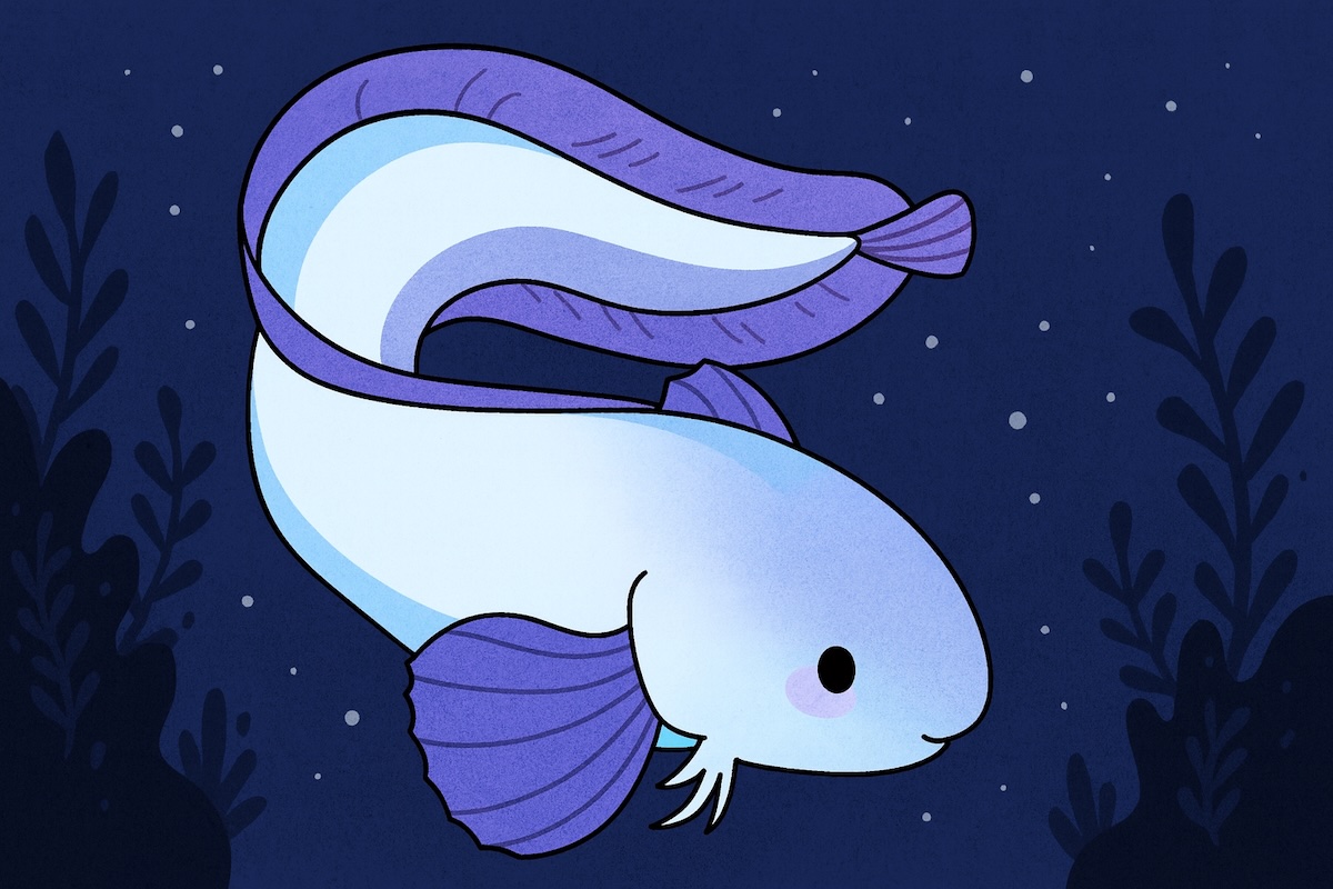 Scientists Film and Capture Record-Breaking Deepest Living Fish